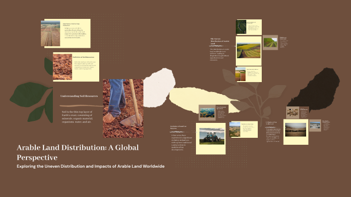 Arable Land Distribution: A Global Perspective by fatima raykha ...