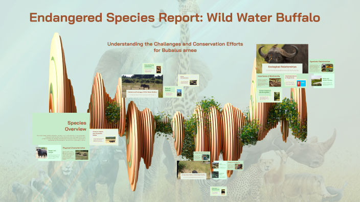 Endangered Species Report on Wild Water Buffalo by Rodrigo Rojas on Prezi