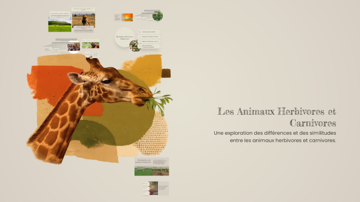 Les Animaux Herbivores et Carnivores by Ab Ahmed on Prezi