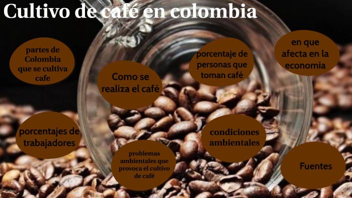 cultivos de cafe en colombia by lucia novellino on Prezi