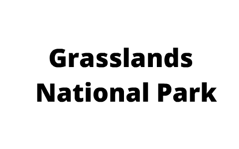 grasslands national park by brandon lambert on Prezi