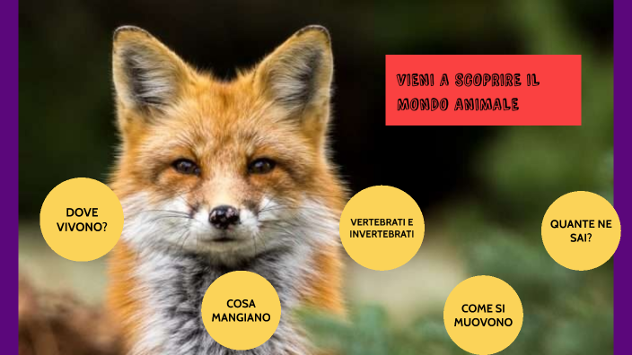 IL MONDO ANIMALE by Margherita Lavore on Prezi