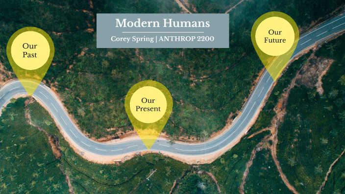 Visual Study Guide 4 by Corey Spring on Prezi