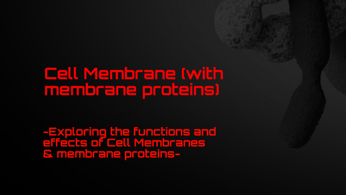 Murder Mystery: The Impact of Cell Membrane Removal by Mia Moreno on Prezi