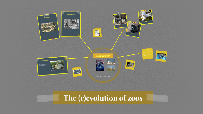 The evolution of zoos by Alexia Antoniou on Prezi