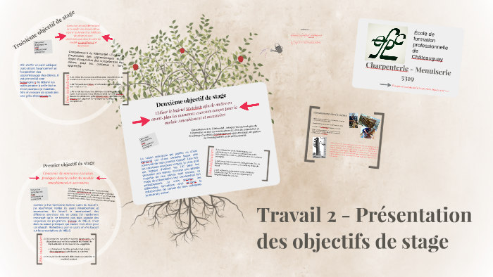 Travail 2 - Présentation des objectifs de stage by Charles Richer on Prezi