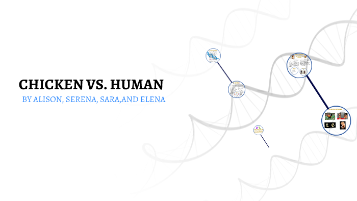 CHICKEN VS. HUMAN by Elena Cabrera