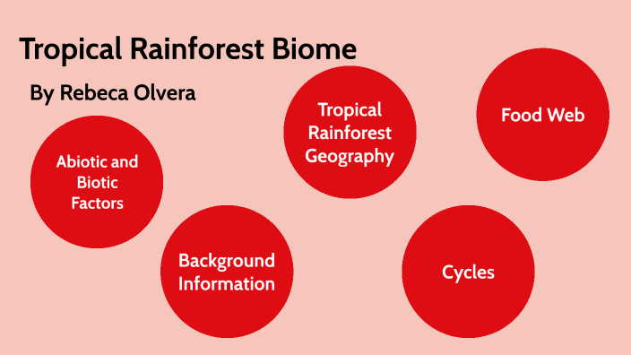 Tropical Rainforest Biome by Rebeca Olvera on Prezi