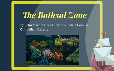 The Bathyal Zone by john martinez on Prezi