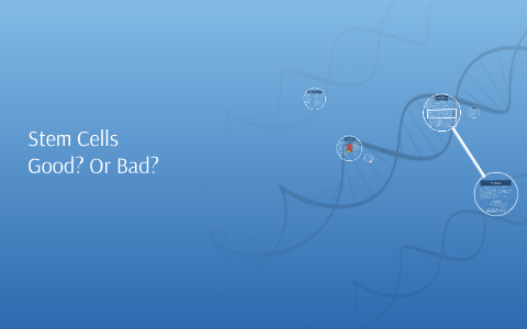 Stem Cells by Dan Heslin on Prezi