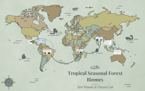 Tropical Seasonal Forest Biomes by on Prezi