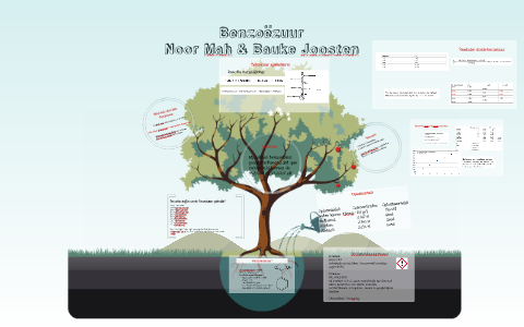Benzoëzuur by Bauke Joosten on Prezi