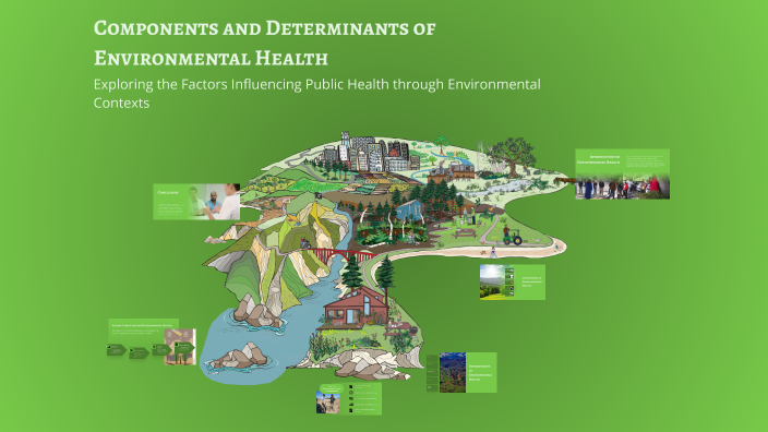 Components and Determinants of Environmental Health by Marc kenneth ...