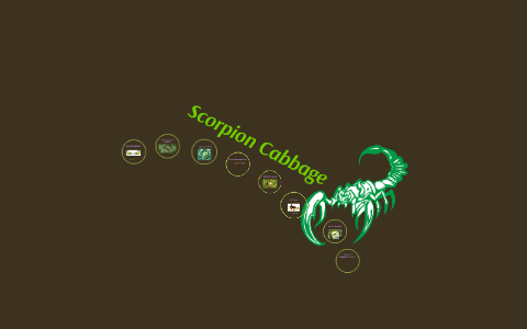 What is Scorpion Cabbage? by Kristy Meyer on Prezi