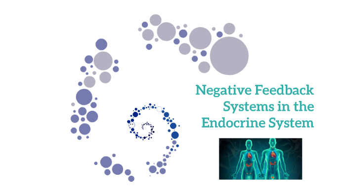 Negative Feedback Systems in the Endocrine System by Kennedy Johansen on Prezi