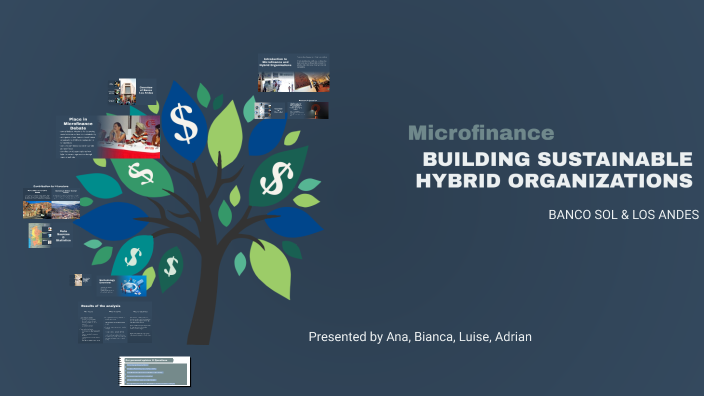 Building Sustainable Hybrid Organizations in Microfinance by sdsfgh ...