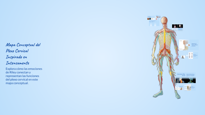 Mapa Conceptual del Plexo Cervical Inspirado en Intensamente by martin ...