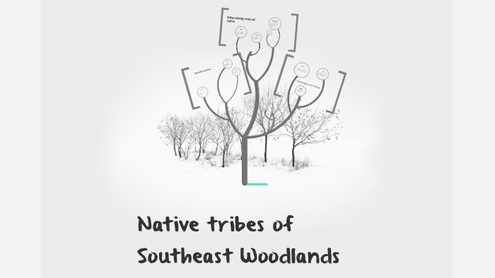 Native American Southeast Woodlands Tribe by Cheyenne Trader on Prezi