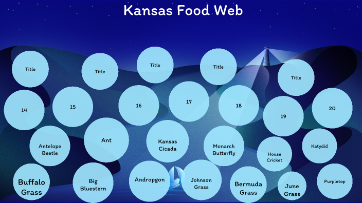Kansas Food Web by Henry Phillips on Prezi
