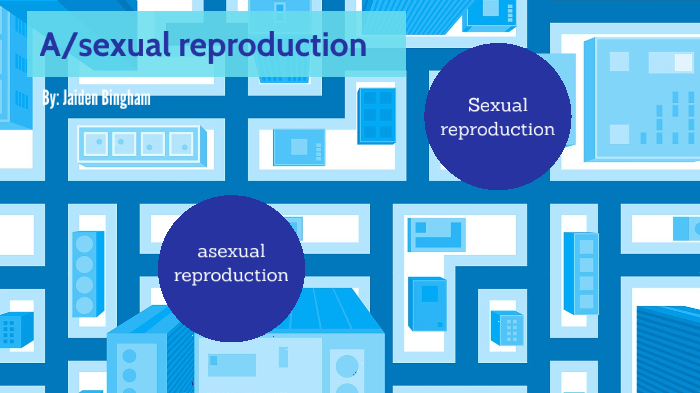 A/sexual reproduction by Jaiden Bingham-Student on Prezi