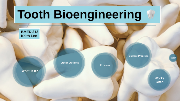 Tooth Bioengineering by Keith Lee on Prezi