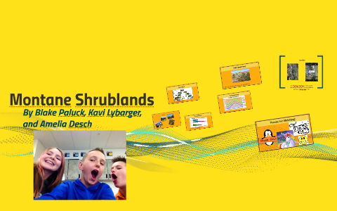 Montane shrublands by k lybarger on Prezi