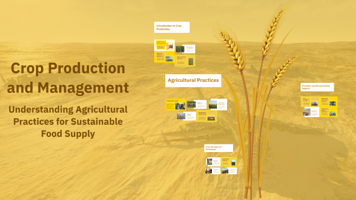 Crop Production and Management by Tailwind Css on Prezi