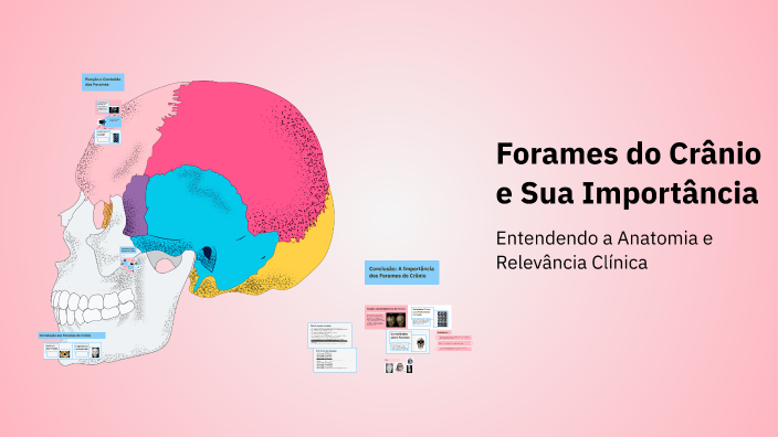 Forames do Crânio e Sua Importância by michelly martins da silva on Prezi