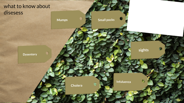 What to know about diseases on the oregon trail by Shelby Skouse on Prezi