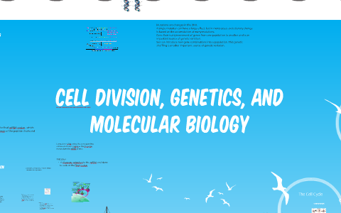 CEll Division, Genetics, and molecular biology by meagan fidyk on Prezi