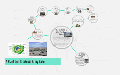 A Plant Cell Is Like An Army Base by Tyler W on Prezi