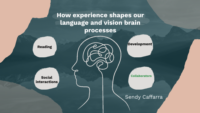 How experience shapes your brain by Sendy Caffarra