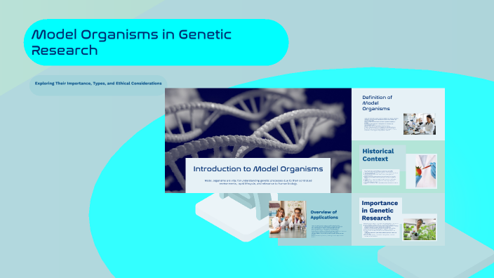 Model Organisms in Genetic Research by RANI A P A on Prezi