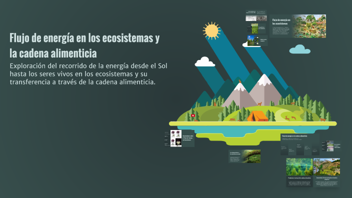 Flujo de energía en los ecosistemas y la cadena alimenticia by daniela ...