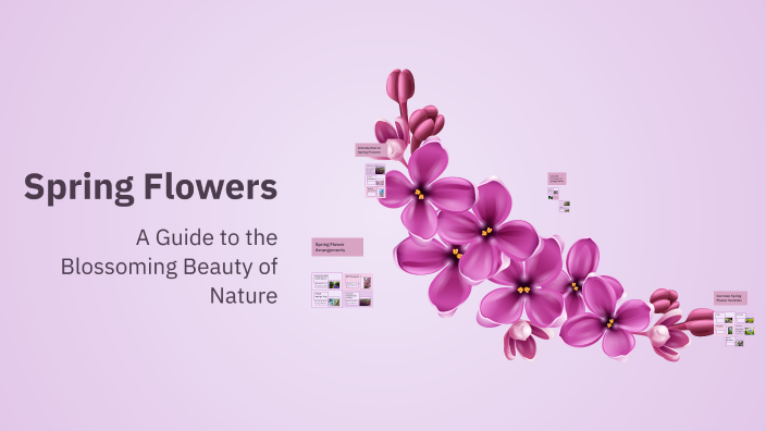 flori de primavara by Alina Mihaela on Prezi