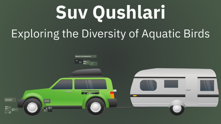 Suv Qushlari by Ruxshona Toʻraboyeva on Prezi