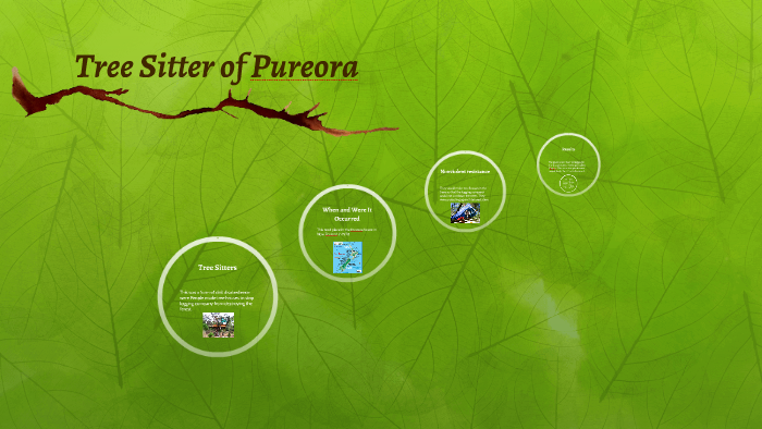 Tree Sitters Of Pureora by hector bautista on Prezi