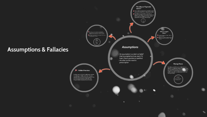 Assumptions & Fallacies by Lucila Palacio