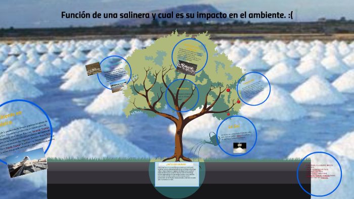Las salineras y su impacto en el ambiente by Ian Rangel