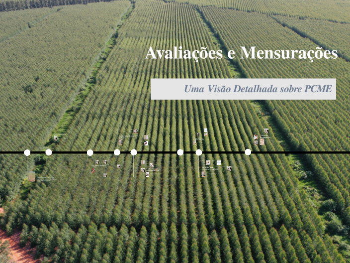 Importância das Avaliações e Mensurações by DANIEL SOMMA DE ARAUJO on Prezi