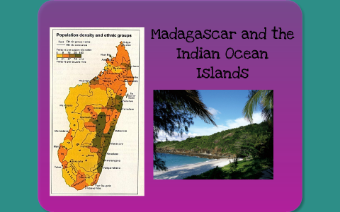 Biodiversity Project - Madagascar and Indian Ocean Islands by Emma ...