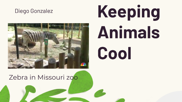 IB Choice Board by Diego Gonzalez on Prezi