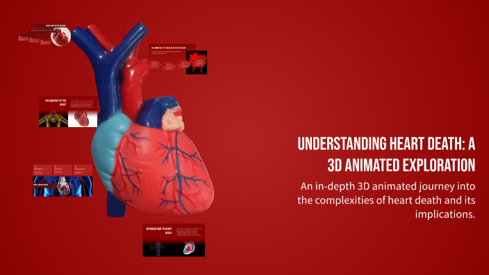 Understanding Heart Death: A 3D Animated Exploration by fnouna lolo on ...
