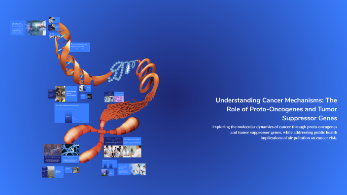 Understanding Cancer Mechanisms: The Role of Proto-Oncogenes and Tumor ...