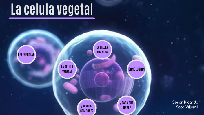 La Celula Vegetal by cesar soto on Prezi