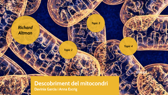 Richard Altman by anna escrig on Prezi