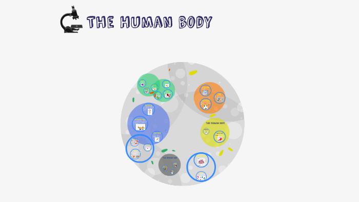 The Human body by Abby Roberson