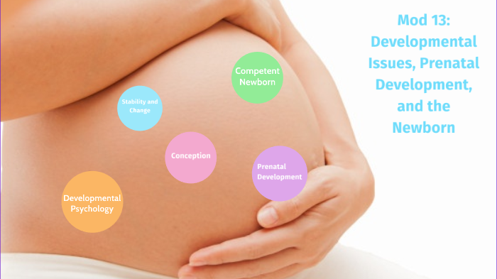 Mod 13 Developmental Issues, Prenatal Development, and the Newborn by ...