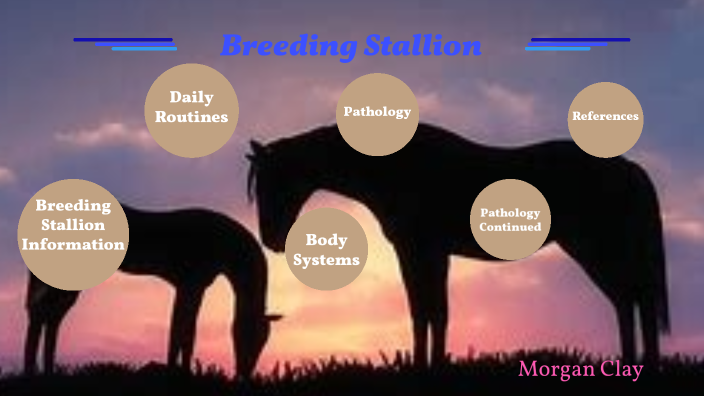 Equine Bio Final Project by Morgan Clay on Prezi