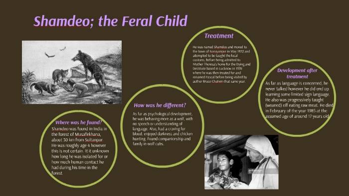 Shamdeo; the feral child by Elijah Cousins on Prezi